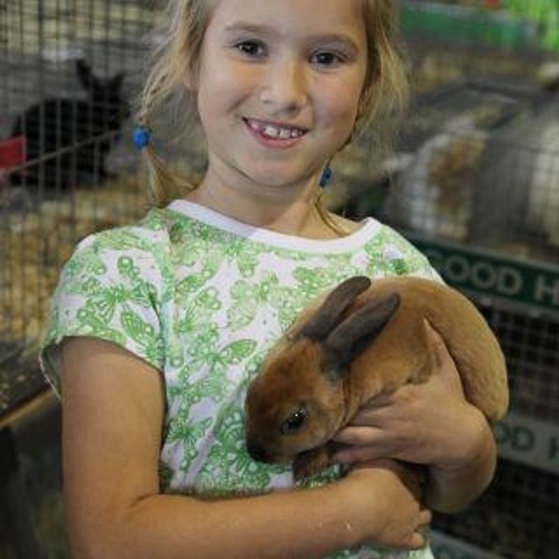 Tulsa State Fair | TravelOK.com - Oklahoma's Official Travel & Tourism Site