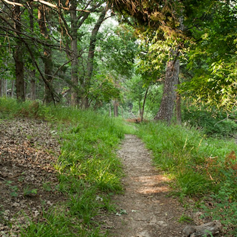Boiling Springs State Park Trail System | TravelOK.com - Oklahoma's ...