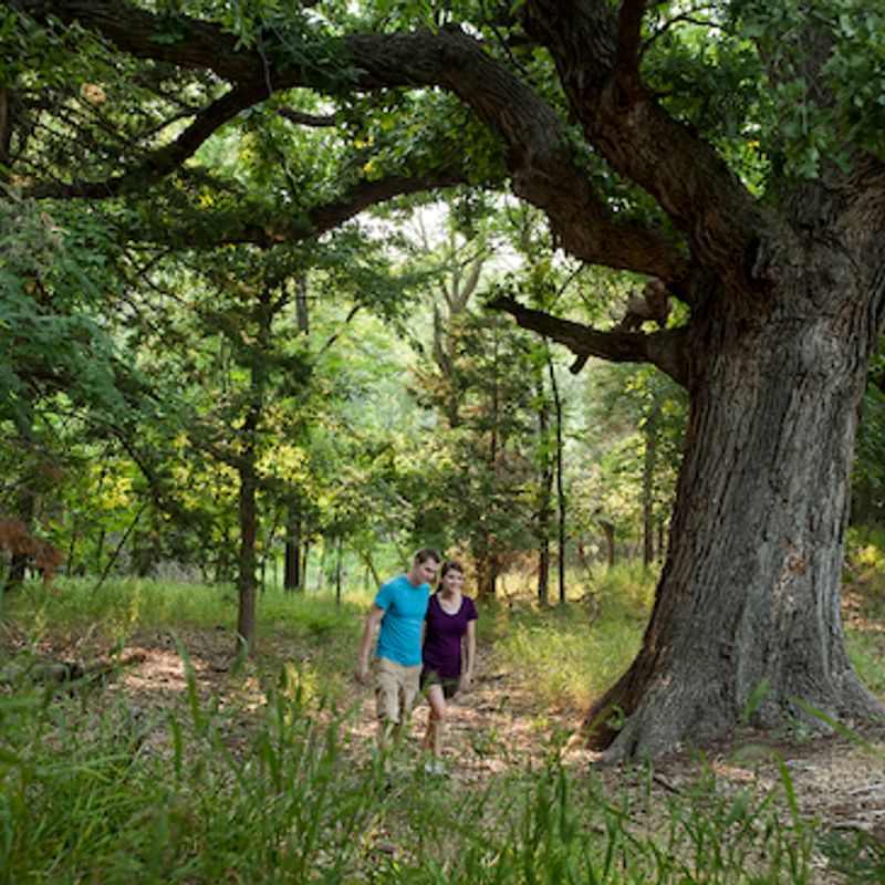 Boiling Springs State Park Trail System | TravelOK.com - Oklahoma's ...