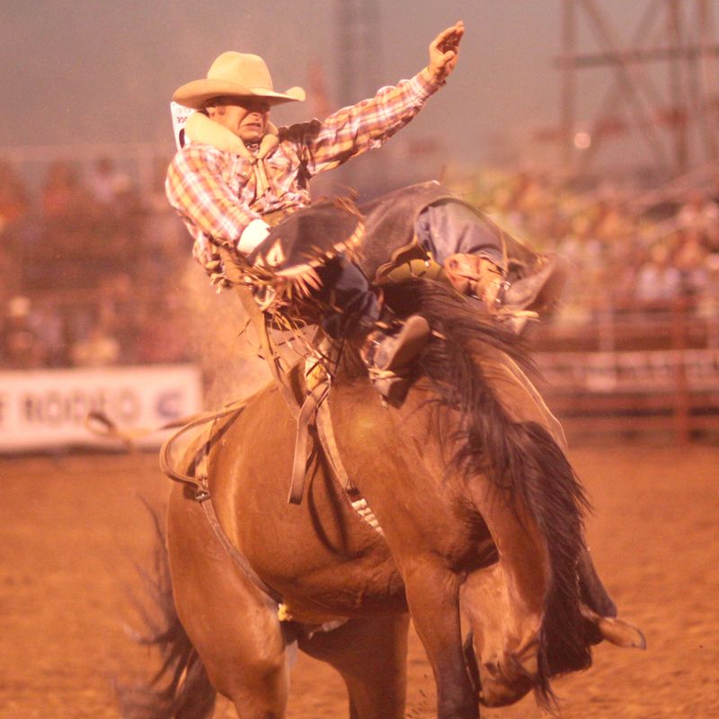 PRCA Rodeo of Champions | TravelOK.com - Oklahoma's Official Travel ...