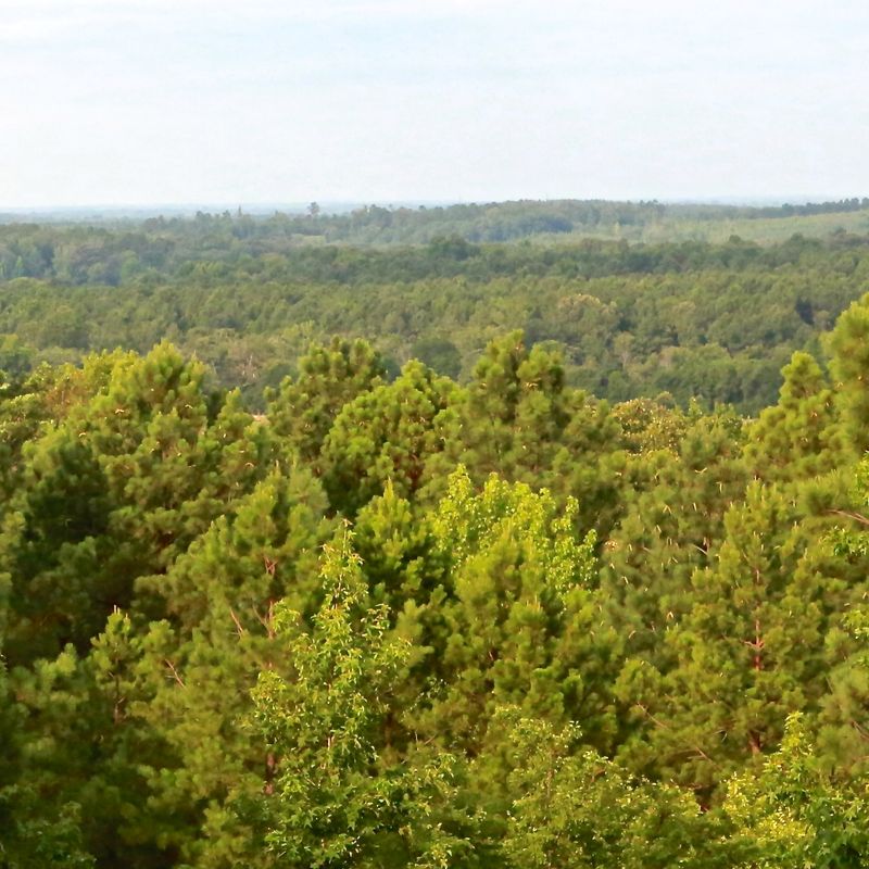 Mountain Vista Luxury Cabin | TravelOK.com - Oklahoma's Official Travel ...