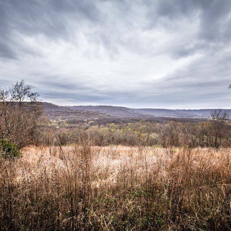 Cookson Wildlife Management Area | TravelOK.com - Oklahoma's Official ...