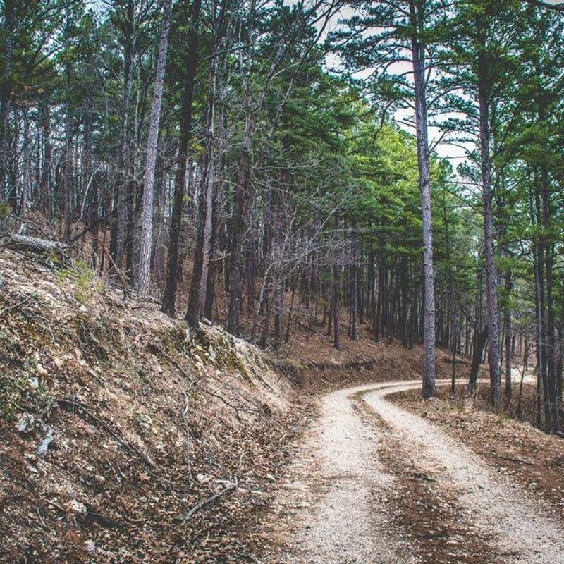 Cookson Wildlife Management Area | TravelOK.com - Oklahoma's Official ...