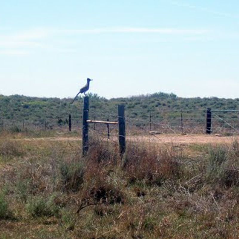 Hal & Fern Cooper Wildlife Management Area | TravelOK.com - Oklahoma's ...