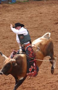 International Finals Youth Rodeo | TravelOK.com - Oklahoma's Official ...