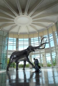 Sam Noble Oklahoma Museum of Natural History | TravelOK.com - Oklahoma ...