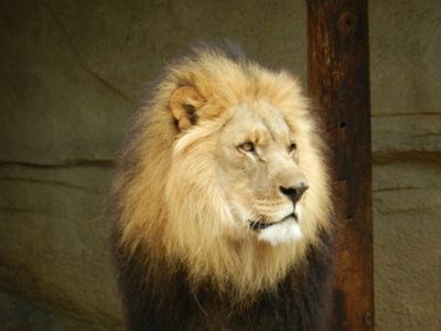 Tulsa Zoo | TravelOK.com - Oklahoma's Official Travel & Tourism Site