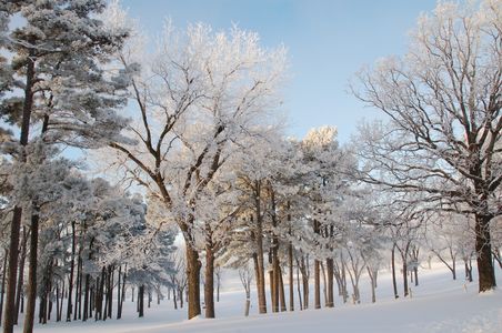 Sequoyah State Park | TravelOK.com - Oklahoma's Official Travel ...
