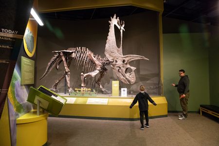 Sam Noble Oklahoma Museum of Natural History | TravelOK.com - Oklahoma ...