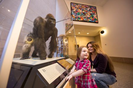 Sam Noble Oklahoma Museum of Natural History | TravelOK.com - Oklahoma ...
