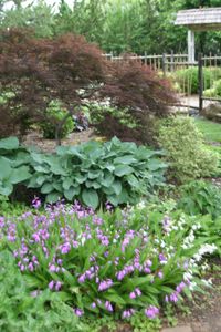 The Botanic Garden at Oklahoma State University | TravelOK.com ...