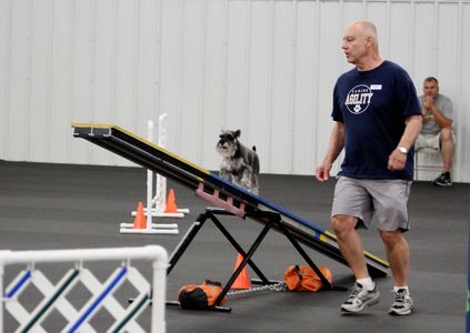 Tulsa Dog Training Club Agility Trial | TravelOK.com - Oklahoma's ...