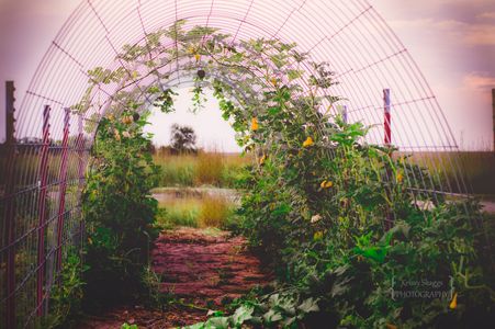 Rustic Roots | TravelOK.com - Oklahoma's Official Travel & Tourism Site