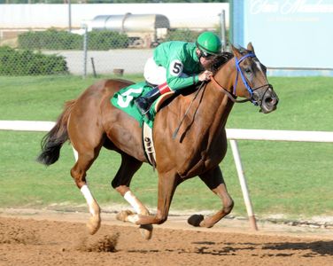 Fair Meadows Live Horse Racing | TravelOK.com - Oklahoma's Official ...