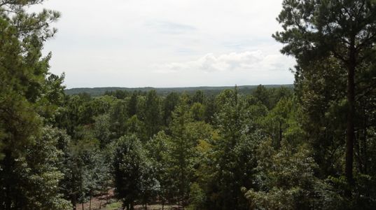 Mountain Vista Luxury Cabin | TravelOK.com - Oklahoma's Official Travel ...