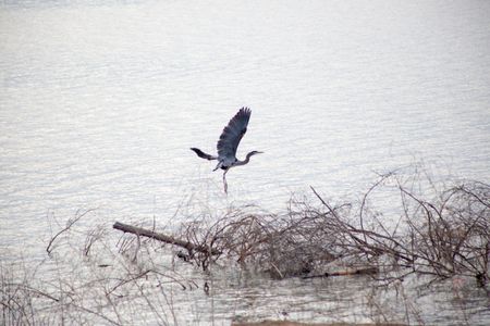 Lake Wister State Park | TravelOK.com - Oklahoma's Official Travel ...