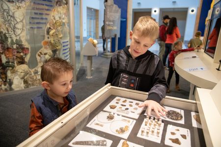 Sam Noble Oklahoma Museum of Natural History | TravelOK.com - Oklahoma ...