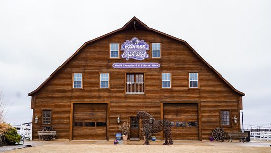 Express Clydesdales Ranch | TravelOK.com - Oklahoma's Official Travel ...