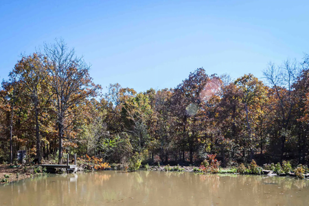 Okie Grown Farms | TravelOK.com - Oklahoma's Official Travel & Tourism Site