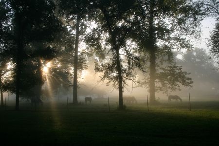 Spring Valley Ranch | TravelOK.com - Oklahoma's Official Travel ...