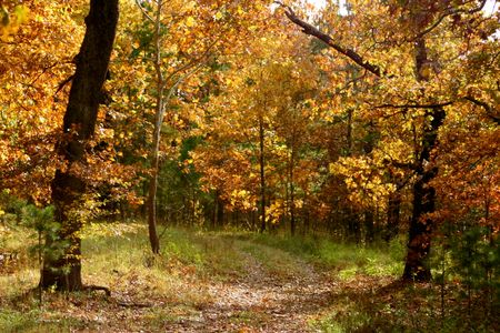 Spring Valley Ranch | TravelOK.com - Oklahoma's Official Travel ...