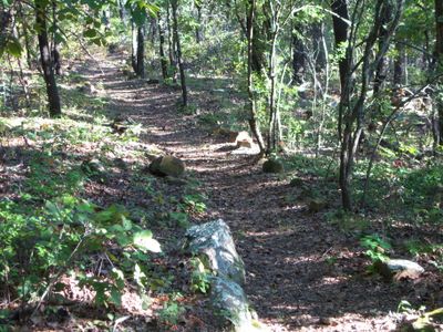 Okmulgee & Dripping Springs Lake & Recreation Area | TravelOK.com ...