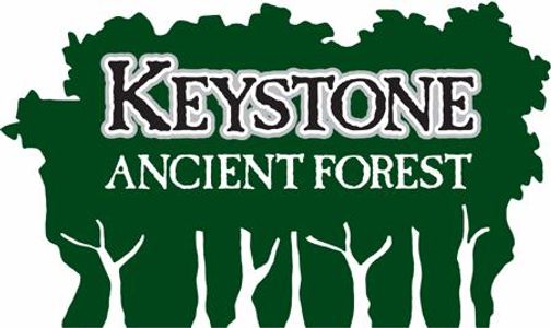 Keystone Ancient Forest | TravelOK.com - Oklahoma's Official Travel ...