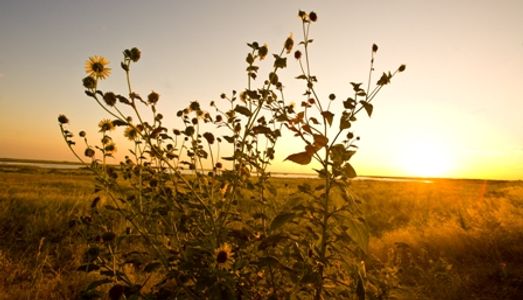 Hackberry Flat Wildlife Management Area & Center | TravelOK.com ...