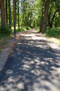 Sequoyah State Park Trail System | TravelOK.com - Oklahoma's Official ...