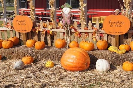 Orr Family Farm | TravelOK.com - Oklahoma's Official Travel & Tourism Site