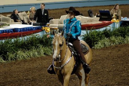 Grand National & World Championship Morgan Horse Show | TravelOK.com ...