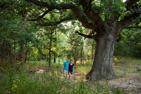 Boiling Springs State Park Trail System | TravelOK.com - Oklahoma's ...