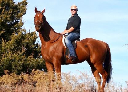 Silver Wind Stables | TravelOK.com - Oklahoma's Official Travel ...