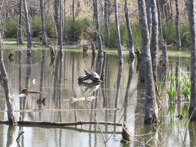 Mohawk Park | TravelOK.com - Oklahoma's Official Travel & Tourism Site