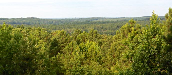 Mountain Vista Luxury Cabin | TravelOK.com - Oklahoma's Official Travel ...