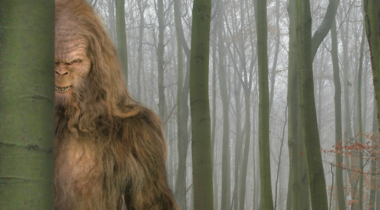 Sasquatch Sightings Hayride | TravelOK.com - Oklahoma's Official Travel ...