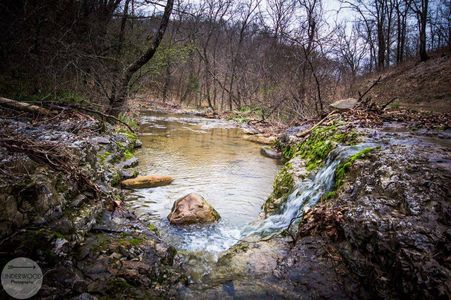 Cookson Wildlife Management Area | TravelOK.com - Oklahoma's Official ...