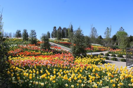 Tulsa Botanic Garden | TravelOK.com - Oklahoma's Official Travel ...