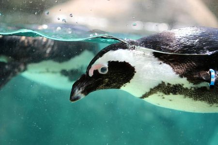 Tulsa Zoo | TravelOK.com - Oklahoma's Official Travel & Tourism Site