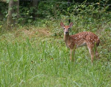 Deep Fork National Wildlife Refuge | TravelOK.com - Oklahoma's Official ...