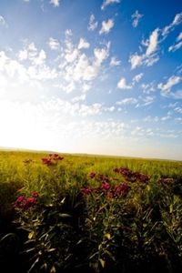 Osage Nation Heritage Trail | TravelOK.com - Oklahoma's Official Travel ...