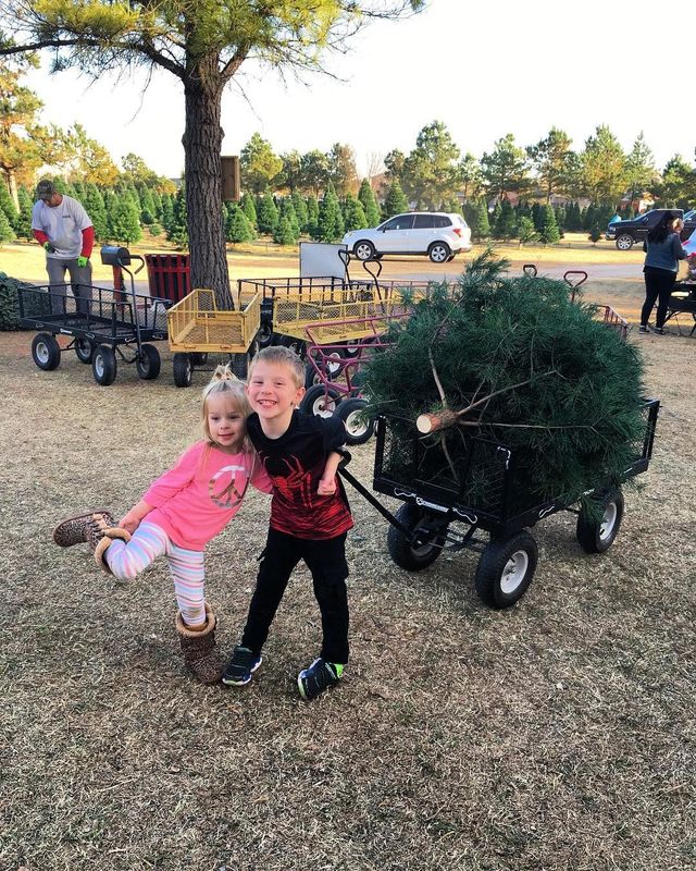 Oklahoma Christmas Tree Farms | TravelOK.com - Oklahoma's Official ...