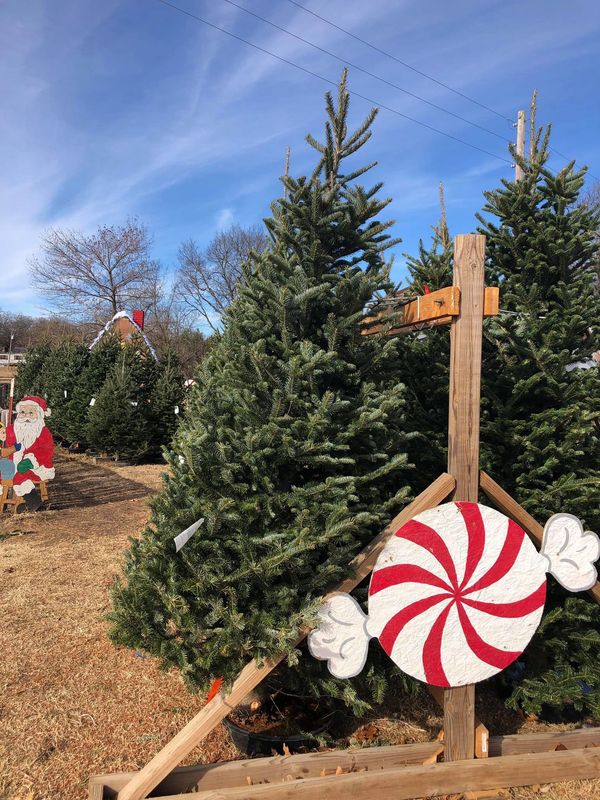 Oklahoma Christmas Tree Farms | TravelOK.com - Oklahoma's Official ...