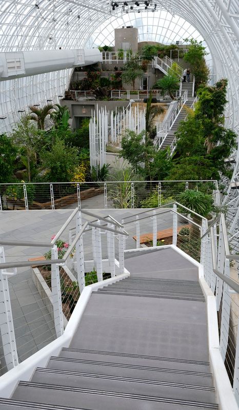 Oklahoma City Oasis: The Myriad Botanical Gardens | TravelOK.com ...