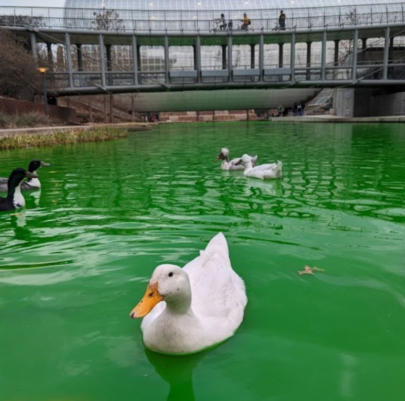 Best St. Patrick's Day Bashes in Oklahoma | TravelOK.com - Oklahoma's ...