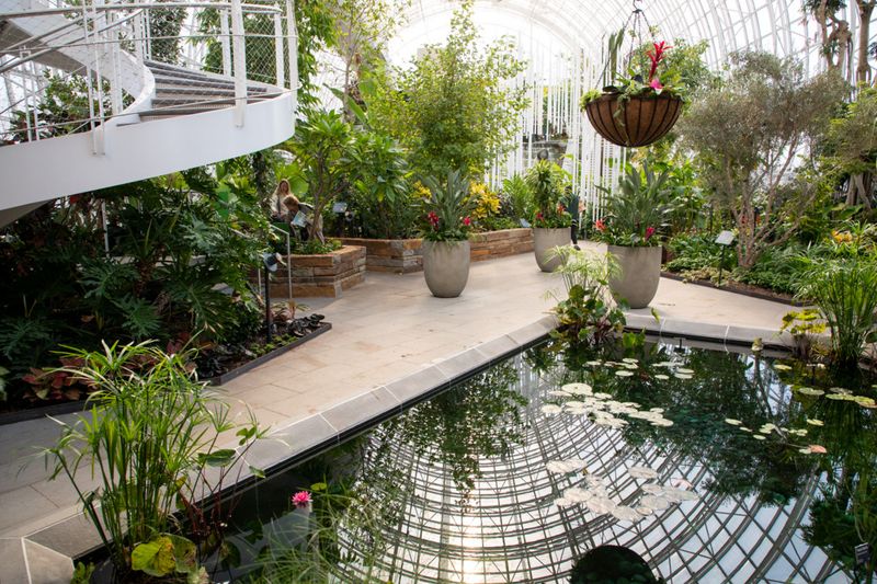 Oklahoma City Oasis: The Myriad Botanical Gardens | TravelOK.com ...