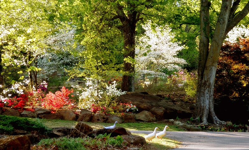 Oklahoma's Top Spring Events | TravelOK.com - Oklahoma's Official ...