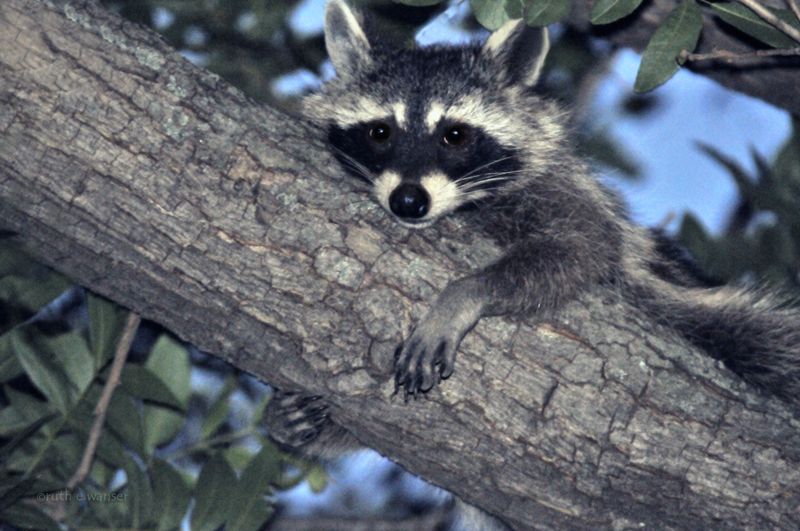 TravelOK.com - Oklahoma's Official Travel & Tourism Site