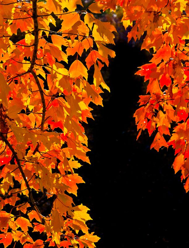 Spavinaw Lake | TravelOK.com - Oklahoma's Official Travel & Tourism Site