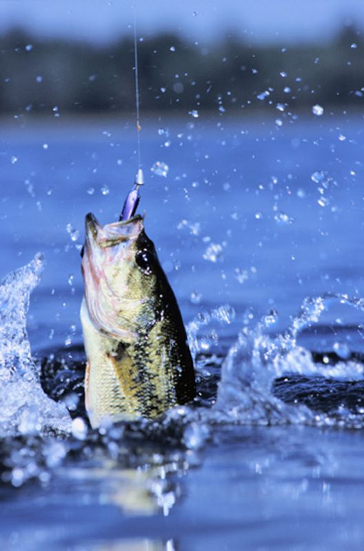 Fishing in Oklahoma | TravelOK.com - Oklahoma's Official Travel ...